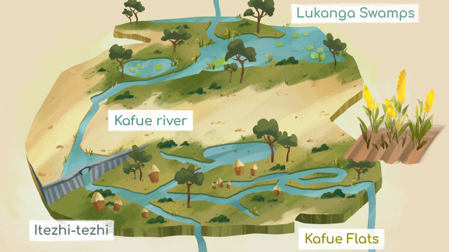 WWF - Lukanga Swamps - HOUND STUDIO